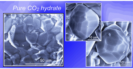 Energies | Free Full-Text | Monitoring Offshore CO2 Sequestration Using ...