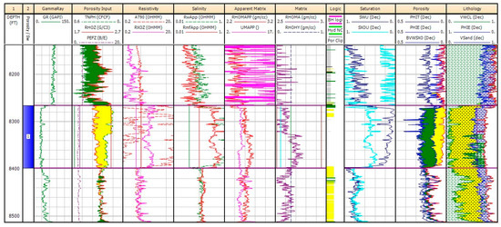Influences of Well Test Techniques and Uncertainty in Petrophysics on ...