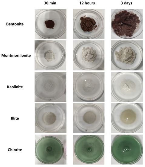 Composite Hydration Process of Clay Minerals Simulating Mineral Clay ...