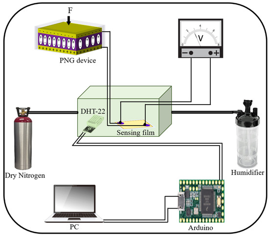 Design and Fabrication of a Robust Chitosan/Polyvinyl Alcohol-Based ...
