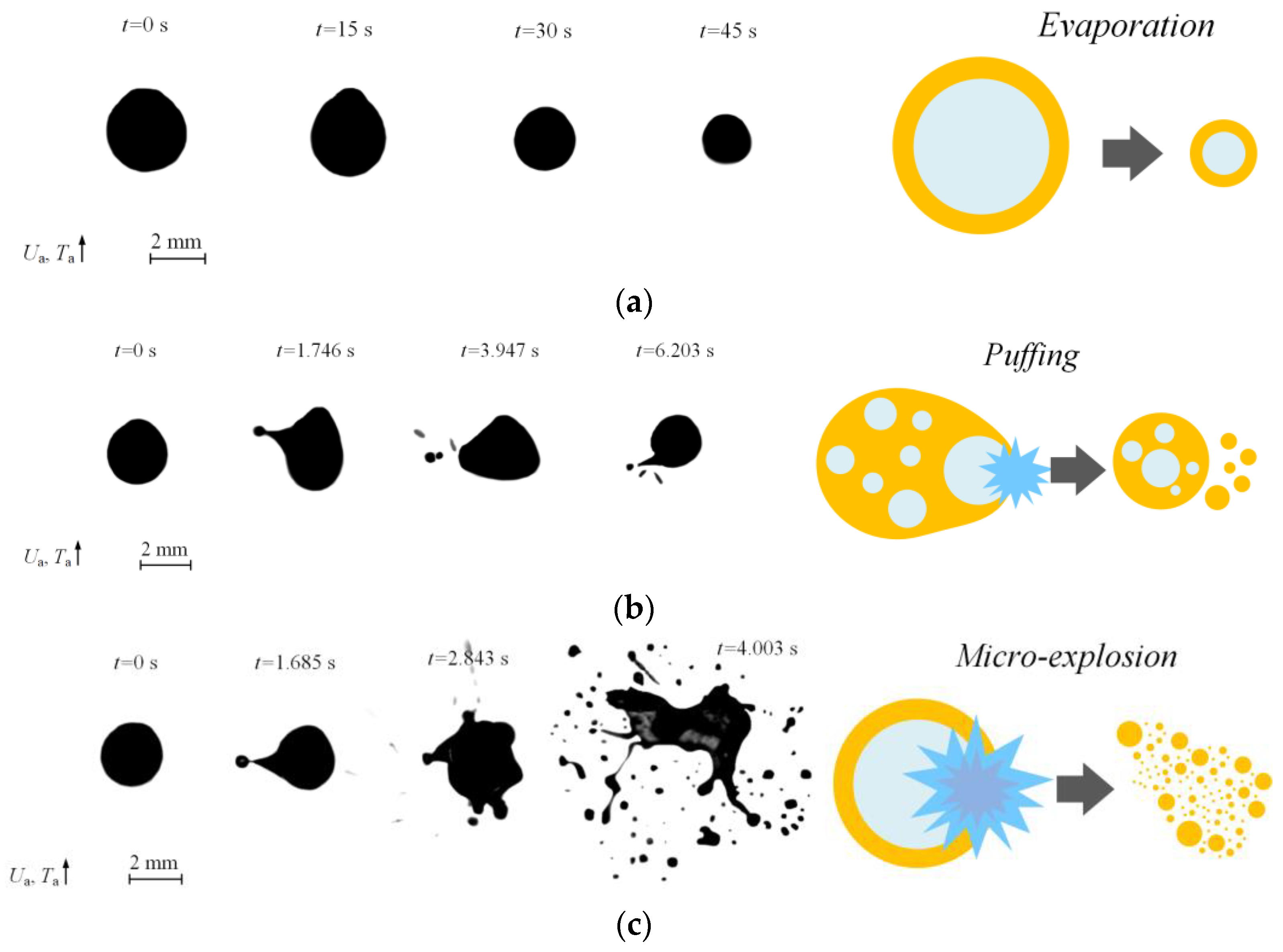 Micro-Explosion Phenomenon: Conditions and Benefits