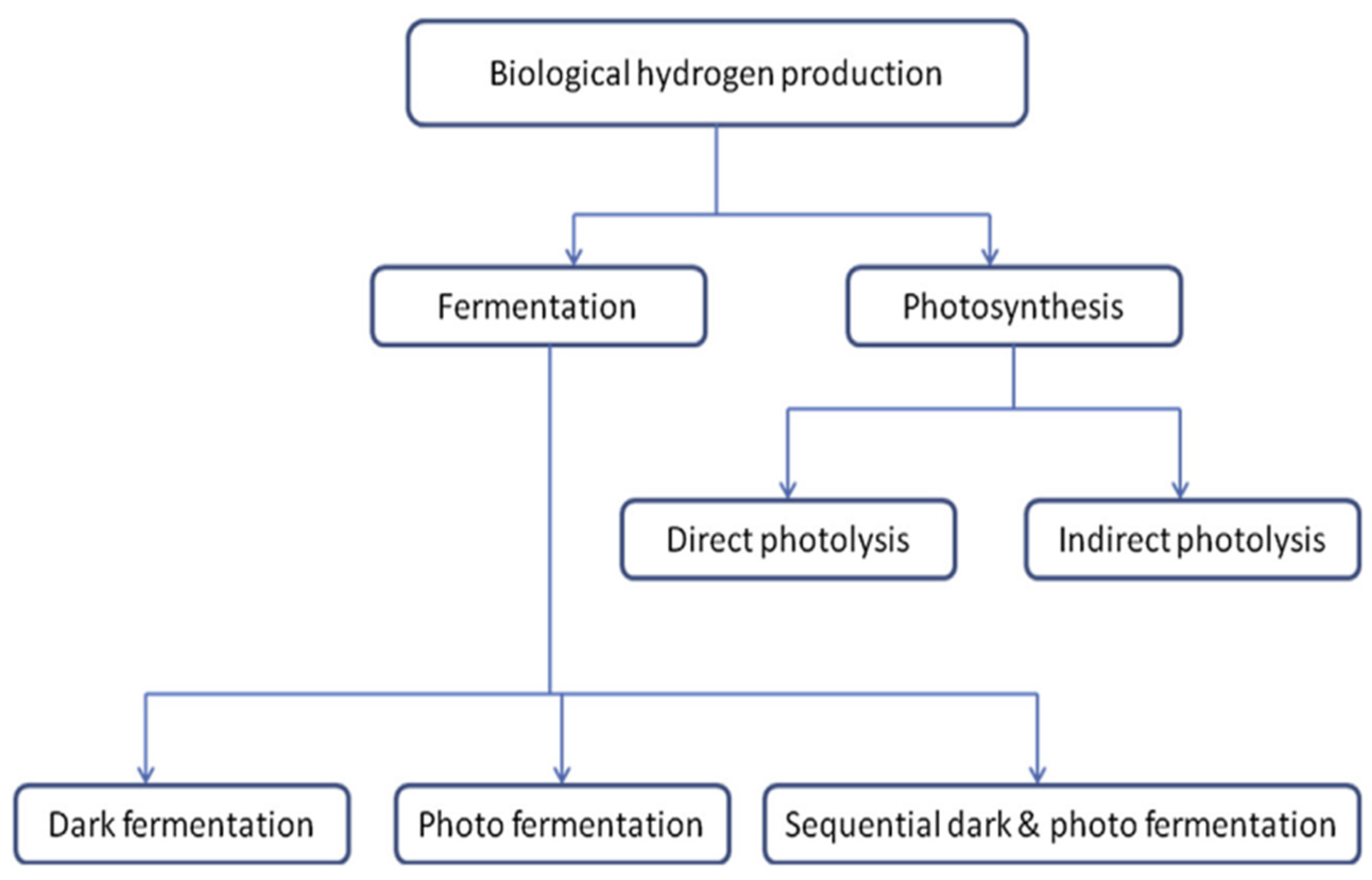 Life-Cycle Assessment Study for Bio-Hydrogen Gas Production from Sewage ...