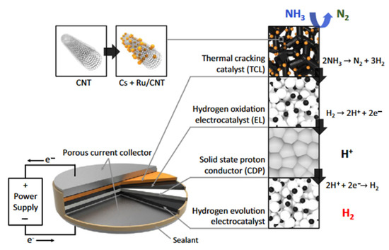 Green Hydrogen Production Technologies from Ammonia Cracking