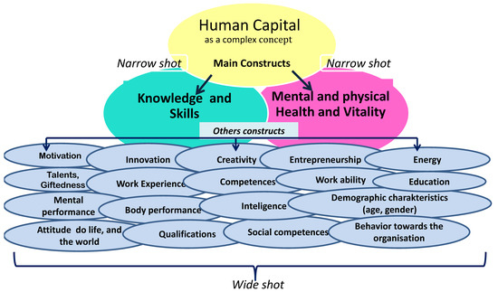 Human Capital as a Source of Energy for Rural Areas’ Socio-Economic ...