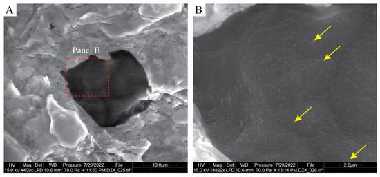 The Control of Shale Composition on the Pore Structure Characteristics ...