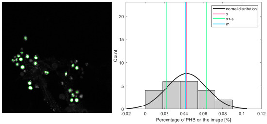 Optical Evaluation of Effects of Energy Substrates on PHB Accumulation ...