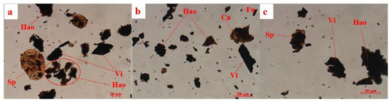 Geochemistry of the Tanshan Oil Shale in Jurassic Coal Measures ...