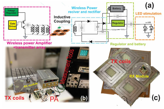 Star-Shaped Coils in the Transmitter Array for Receiver Rotation Tolerance in Free-Moving ...