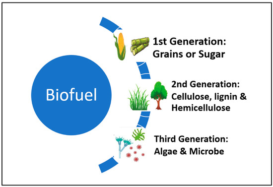 Energies | Free Full-Text | Sugarcane Biomass as a Source of Biofuel for Internal Combustion ...