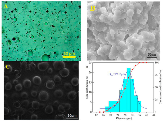 Synthesis, Optimization, and Characterization of Fluorescent Particle ...