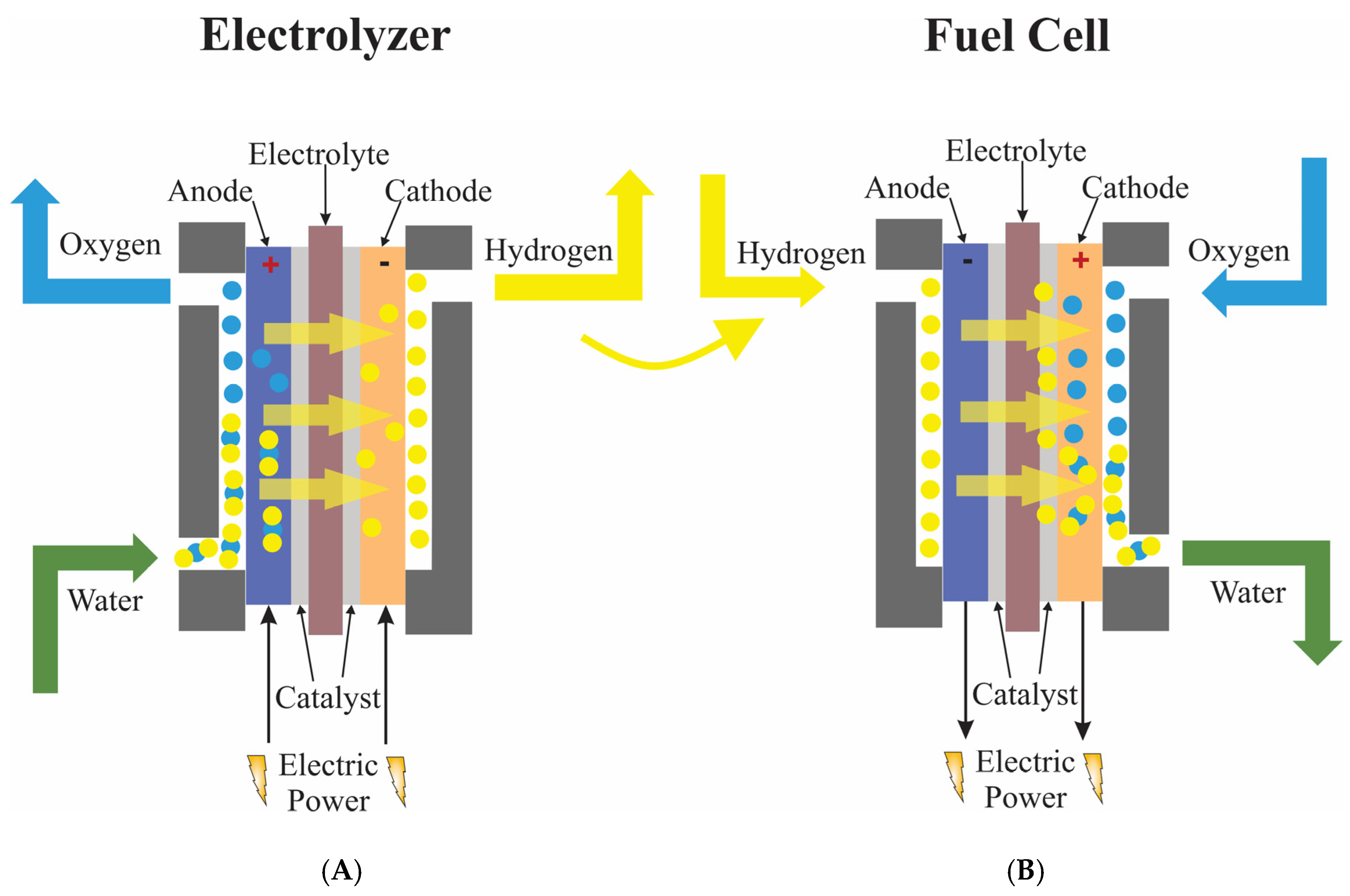 Polyoxometalates as Electrocatalysts for Electrochemical Energy ...