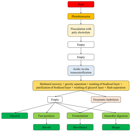 A Two-Tier Superstructure Model for Optimization of Microalgae-Based ...