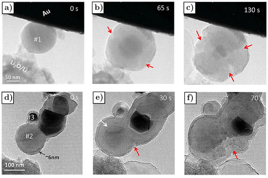 Review on the Experimental Characterization of Fracture in Active ...