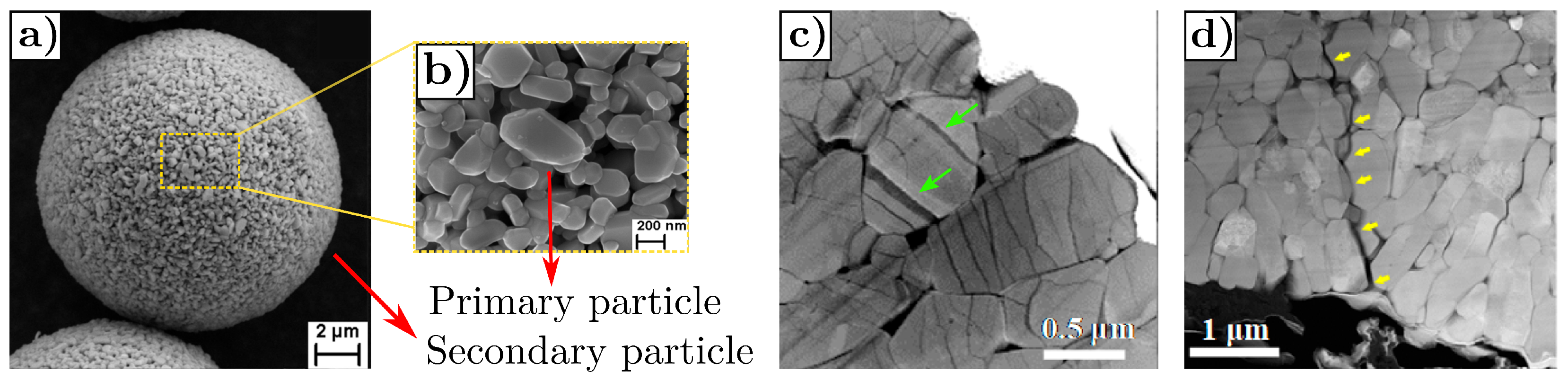 Review on the Experimental Characterization of Fracture in Active ...