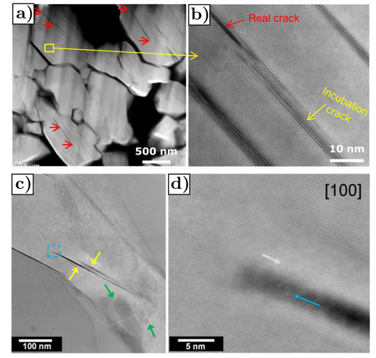 Review on the Experimental Characterization of Fracture in Active ...