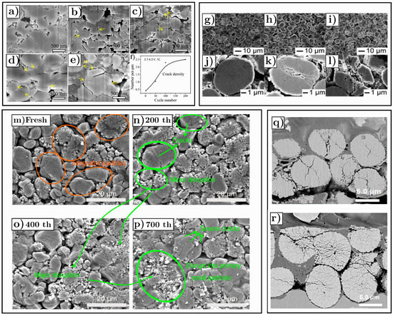 Review on the Experimental Characterization of Fracture in Active ...