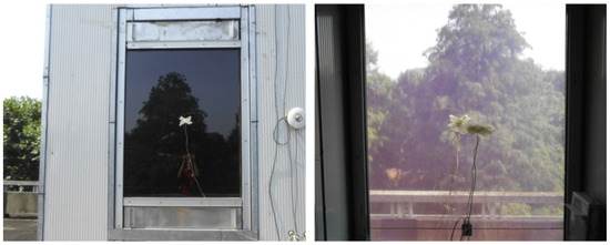 Energy-Saving Potential Comparison of Different Photovoltaic Integrated ...