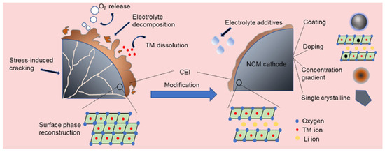 Progress of Single-Crystal Nickel-Cobalt-Manganese Cathode Research