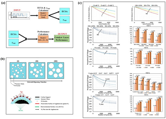 Membrane Electrode Assembly Degradation Modeling of Proton Exchange ...