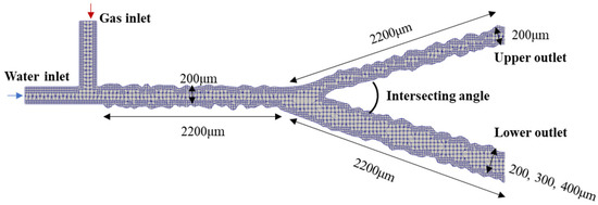 Pore-Scale Simulation of Gas and Water Two-Phase Flow in Rough-Walled Fractures Using the Volume ...