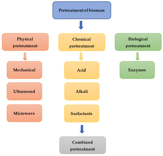 Biofuel Production from Seaweeds: A Comprehensive Review