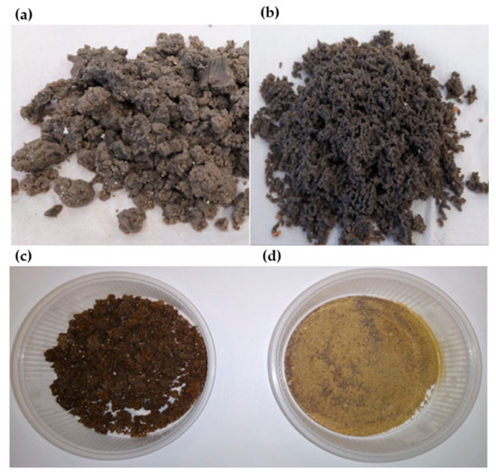 Application of Post-Flotation Dairy Sludge in the Production of Wood ...