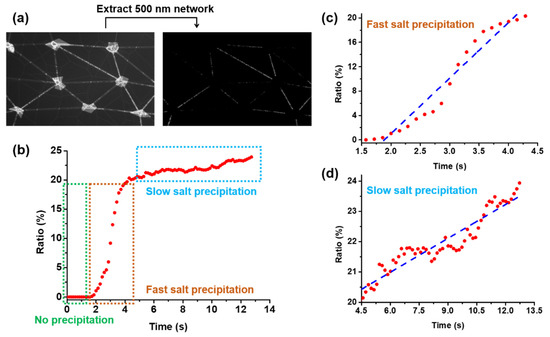 Direct Visualization of Nanoscale Salt Precipitation and Dissolution ...