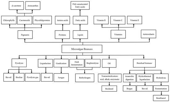 Energies | Free Full-Text | Large Scale Microalgae Biofuel Technology ...