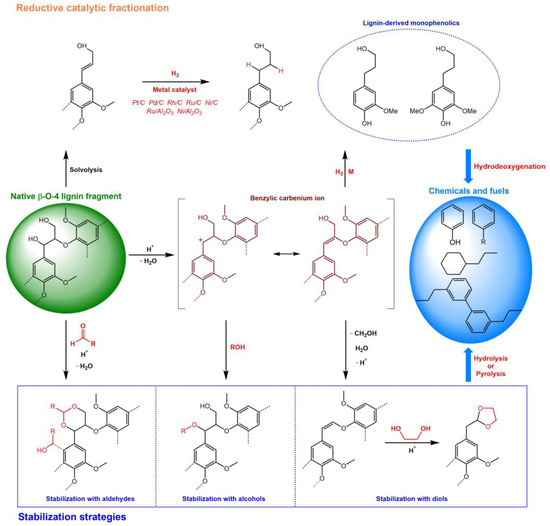 Lignin-First Biorefinery for Converting Lignocellulosic Biomass into ...