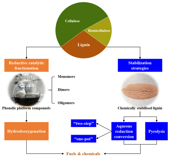 Lignin-First Biorefinery for Converting Lignocellulosic Biomass into Fuels and Chemicals