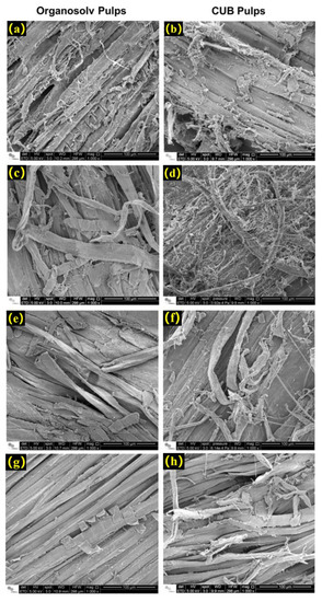 Lignin-First Biorefinery for Converting Lignocellulosic Biomass into ...