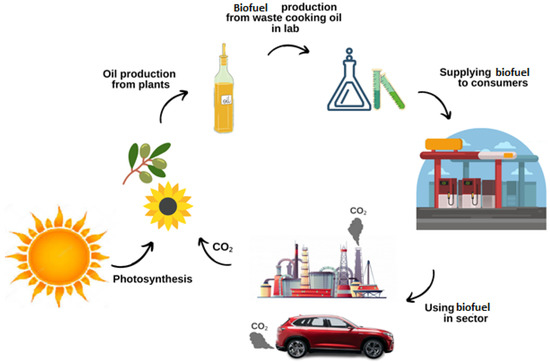 Production and Assessment of New Biofuels from Waste Cooking Oils as ...