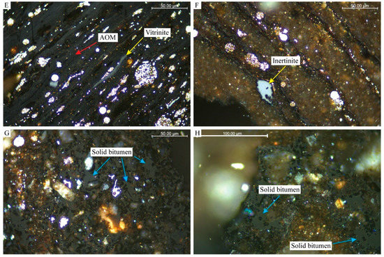 Maceral Control on the Hydrocarbon Generation Potential of Lacustrine ...