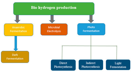 Advancements of Biochar-Based Catalyst for Improved Production of ...