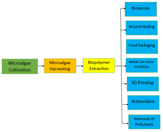An Overview of Green Bioprocessing of Algae-Derived Biochar and ...