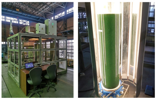 Direct Study of CO2 Capture Efficiency during Microalgae Arthrospira ...