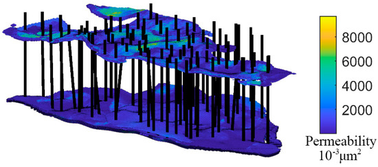 Characterization and Dynamic Adjustment of the Flow Field during the ...