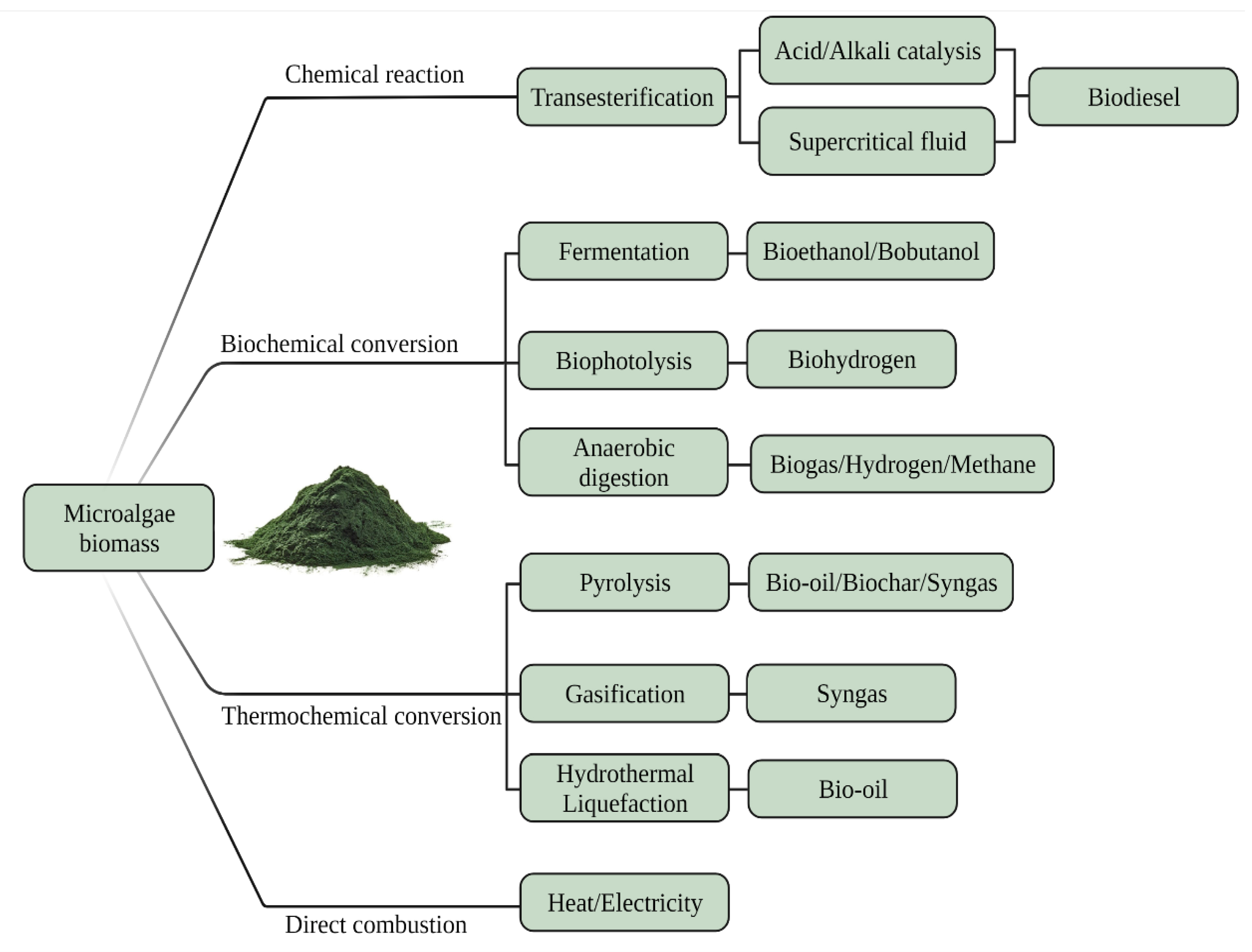 Microalgal Consortia for Waste Treatment and Valuable Bioproducts