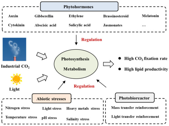 A Review on Industrial CO2 Capture through Microalgae Regulated by ...