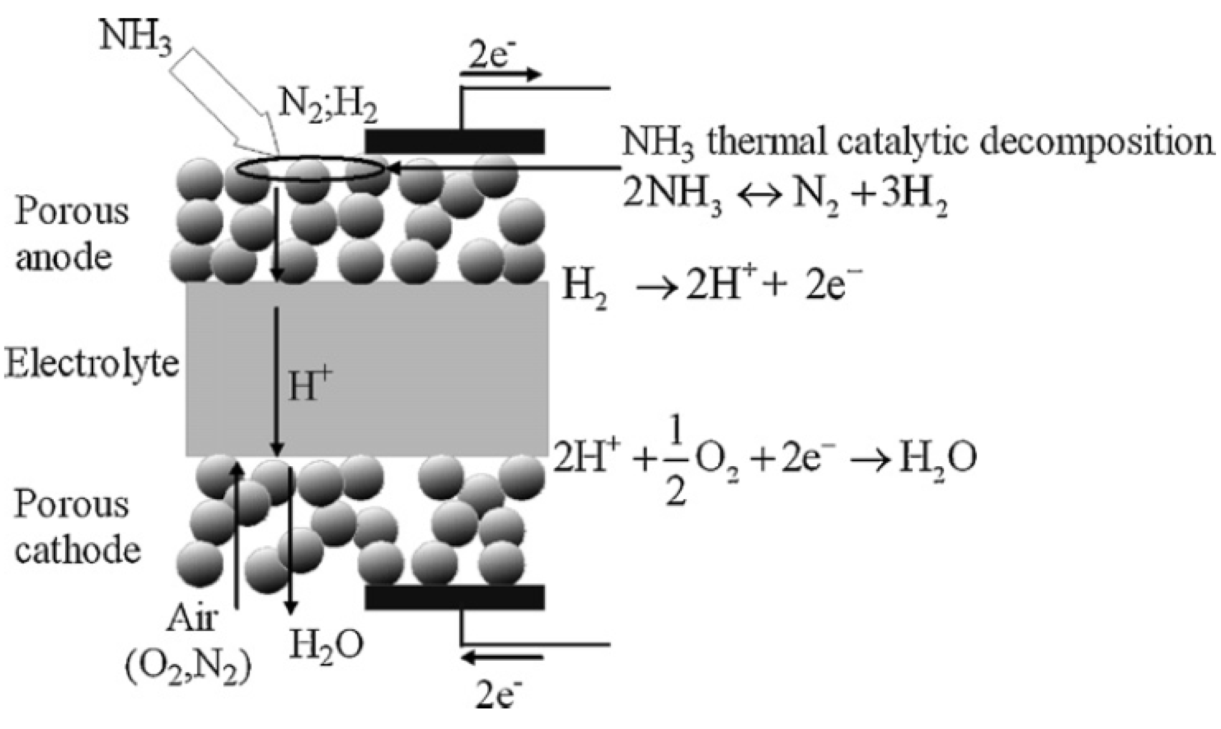 A Review on Numerical Simulation of Hydrogen Production from Ammonia ...