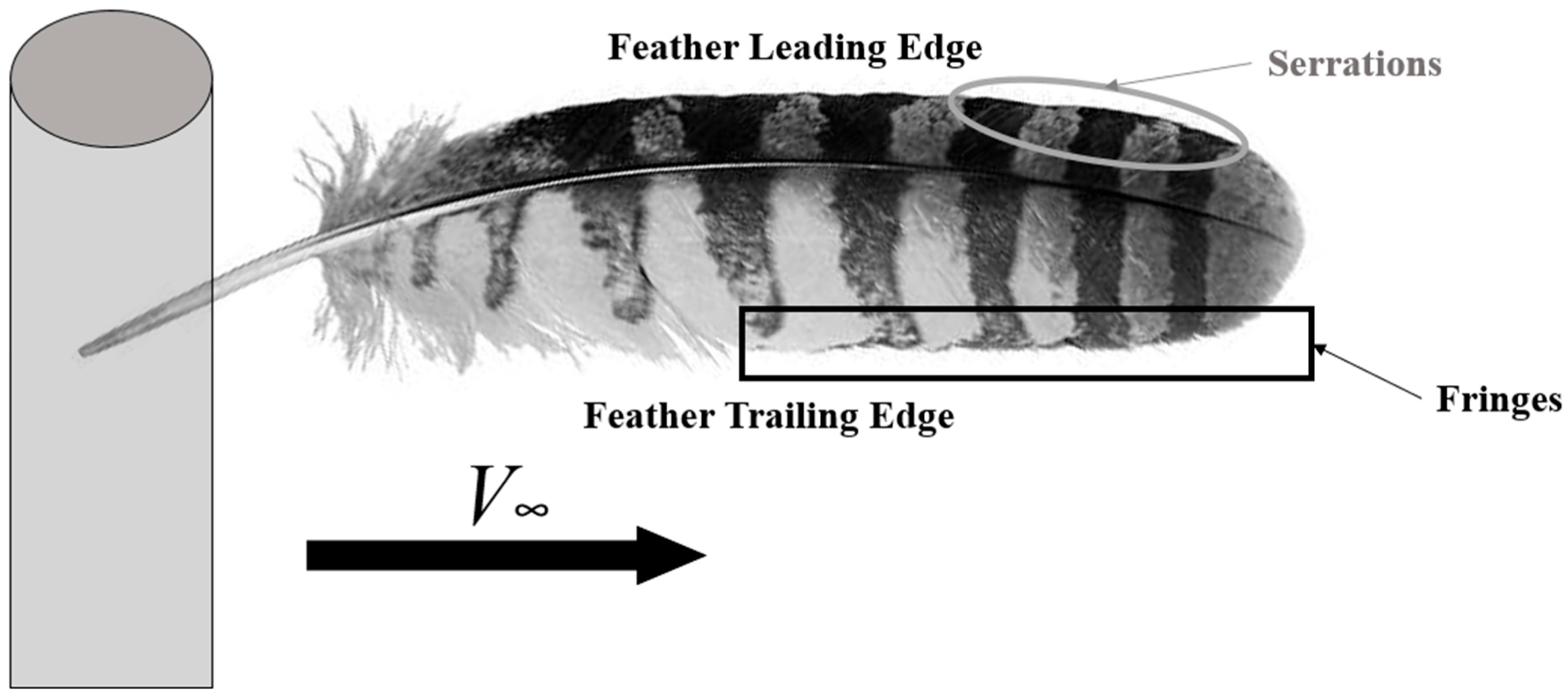 Energies | Free Full-Text | Aerodynamic Optimization of Trailing-Edge-Serrations for a Wind ...