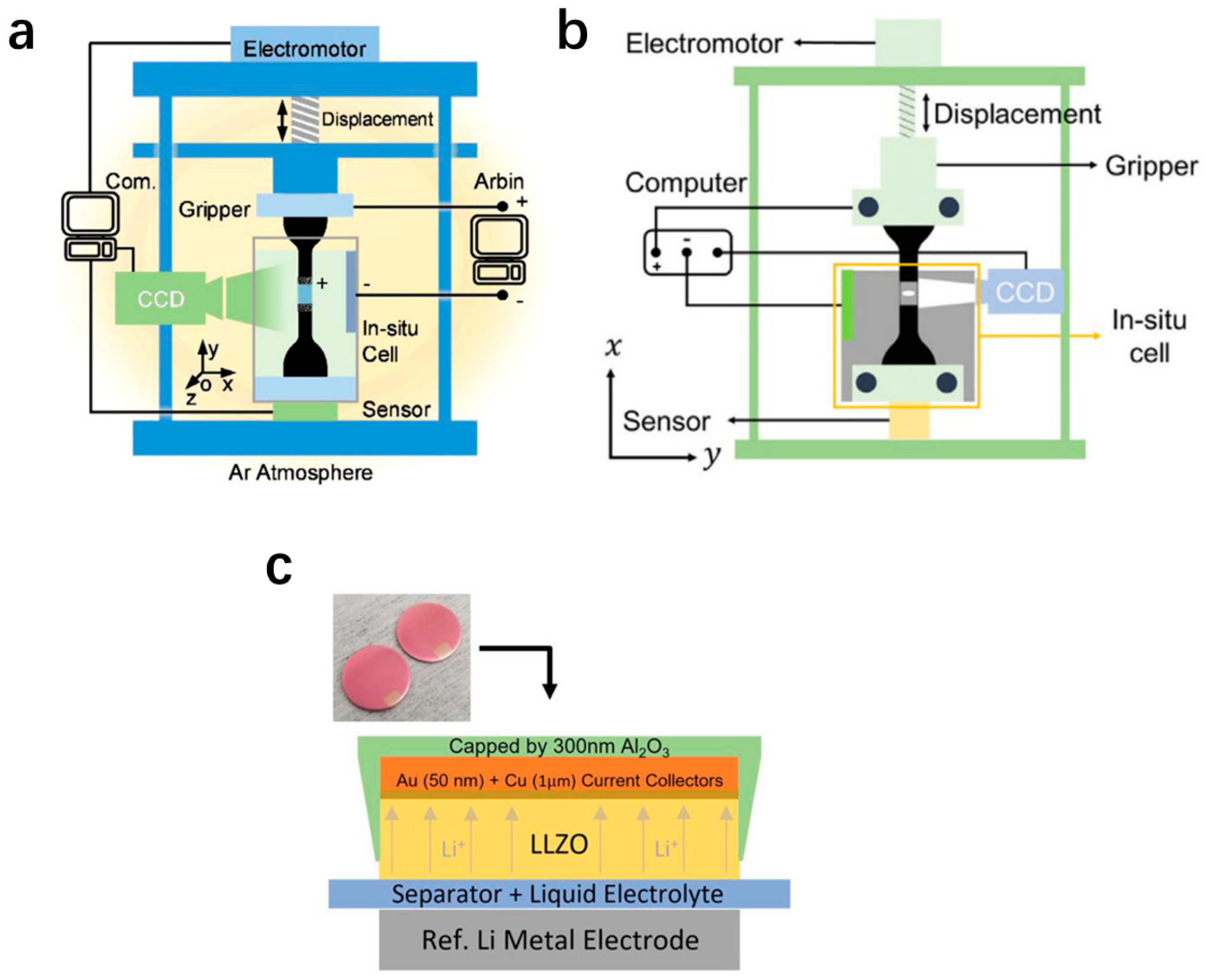 Experimental Investigations on the Chemo-Mechanical Coupling in Solid ...