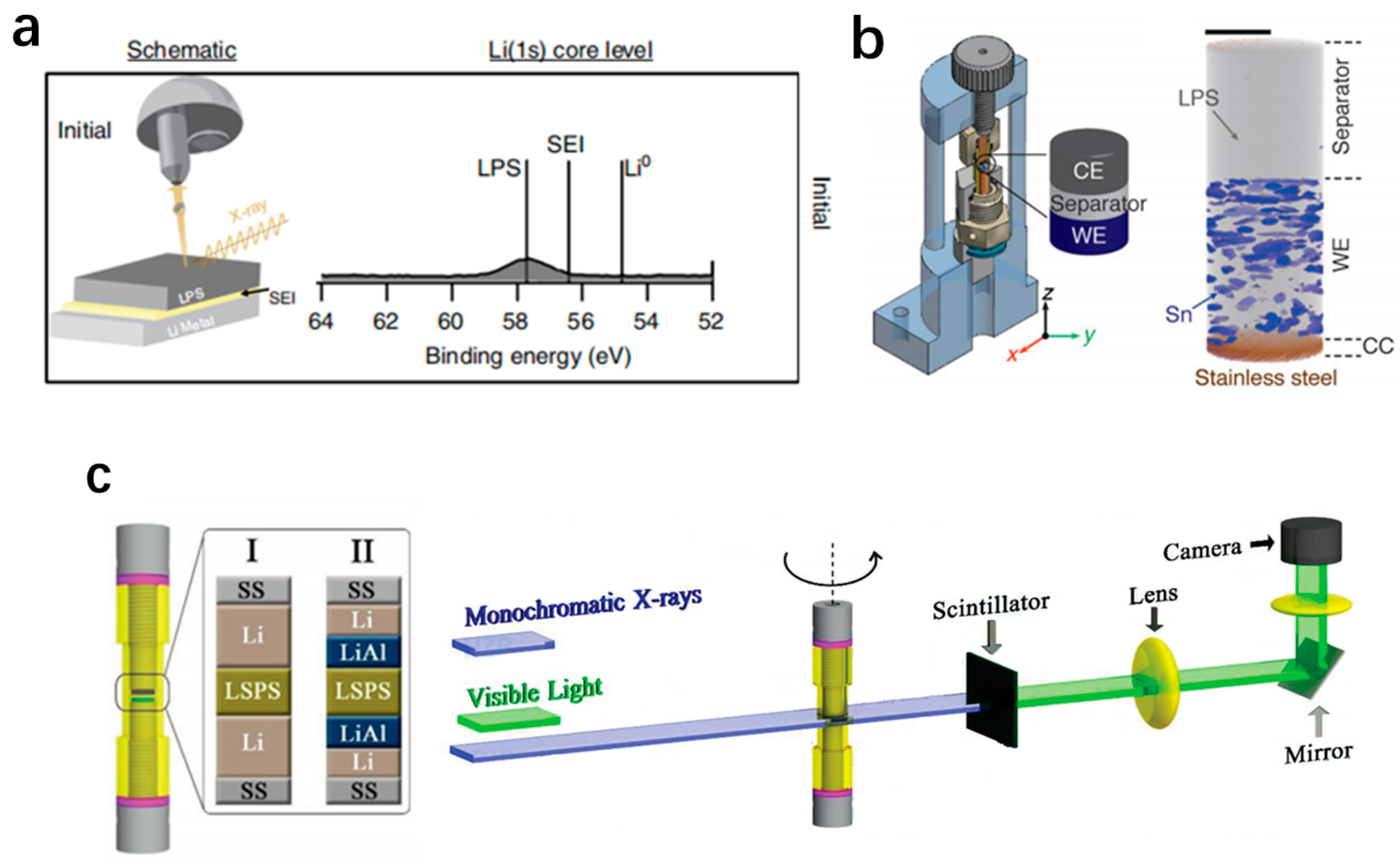 Experimental Investigations on the Chemo-Mechanical Coupling in Solid ...