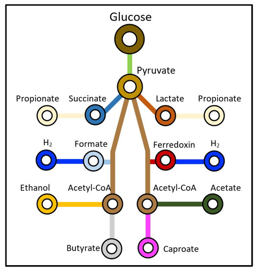 Assessing Different Inoculum Treatments for Improved Production of ...
