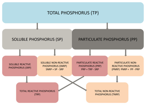 Influence of Phosphorus Speciation on Its Chemical Removal from Reject ...