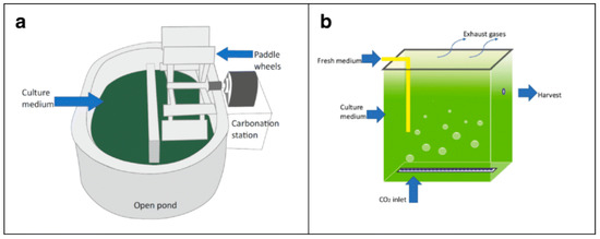 Energies | Free Full-Text | Biofuel Production Using Cultivated Algae: Technologies, Economics ...