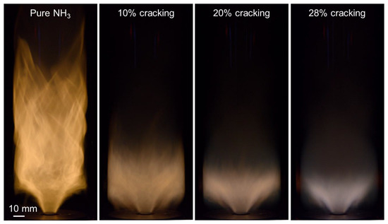 Transfer Functions of Ammonia and Partly Cracked Ammonia Swirl Flames