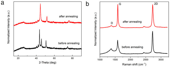 Synthesis of Graphite-Encapsulated Ni Micro- and Nanoparticles Using ...
