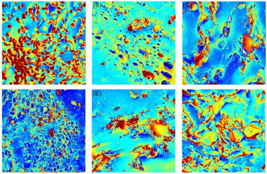 Quantitative Characterization of Pore Structure Parameters in Coal Based on Image Processing and ...