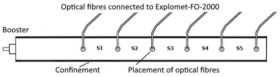 Shock Initiation and Propagation of Detonation in ANFO